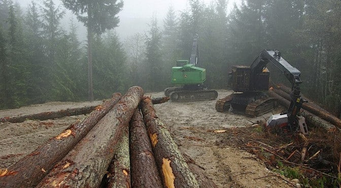 Logging Impacts in the Chapman Creek Watershed | Cortes Currents