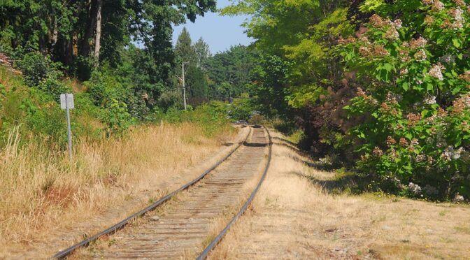 Should We Reopen Island Rail? | Cortes Currents