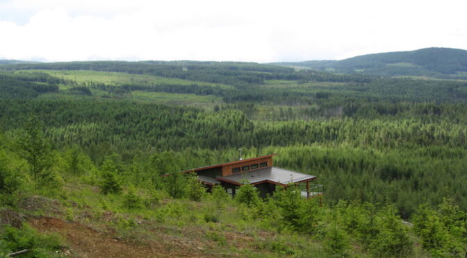Forest Or Tree Farm? - Cortes Currents