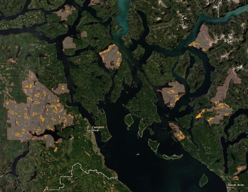 Tracking BC Timber Sales Progress - Cortes Currents