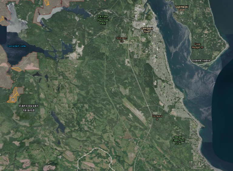 Tracking BC Timber Sales Progress - Cortes Currents