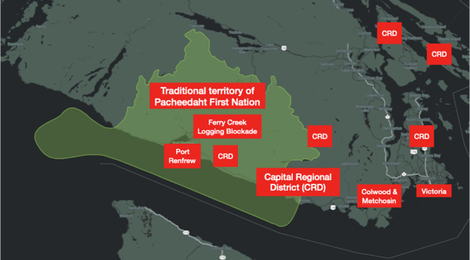 Old Growth Forest Initiative Checked By Aboriginal Title Issues ...