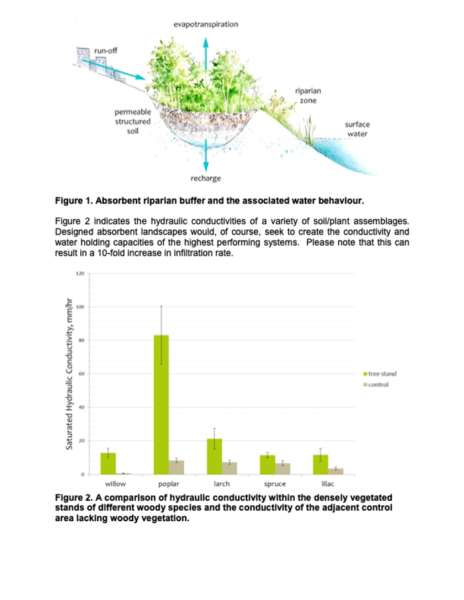 Environmental design: learning to work with the natural water balance ...