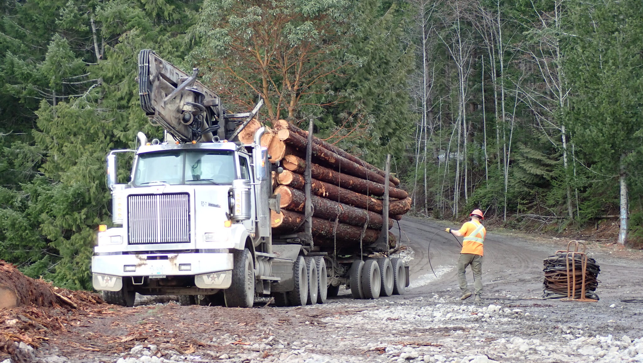 Activity At Gorge Harbour Log Dump - Cortes Currents