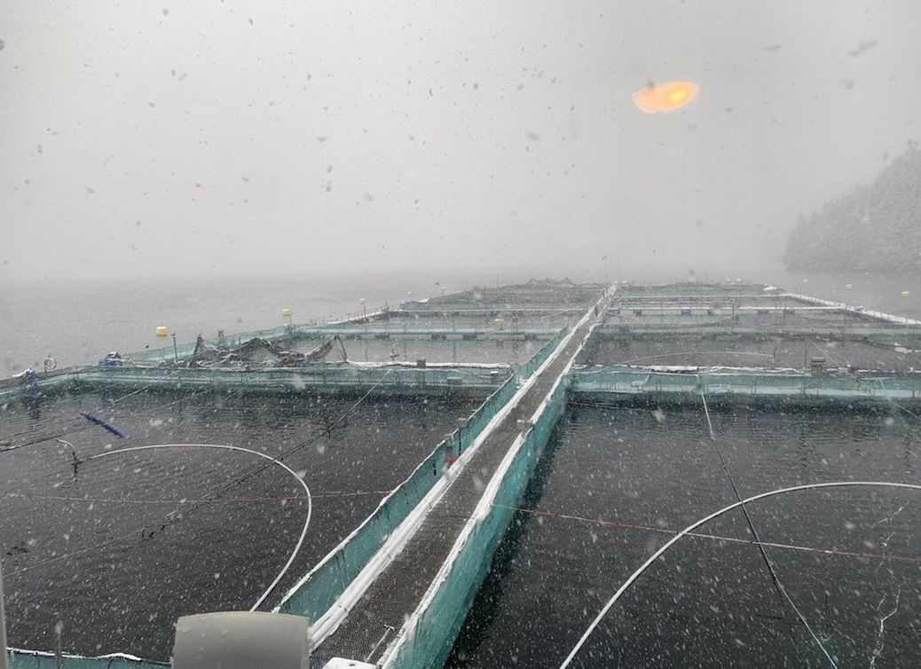 Grieg Seafood Installs Semi-closed Containment Fish Farms In Esperanza ...