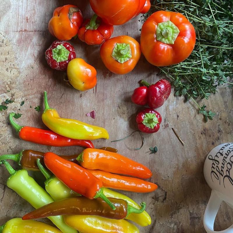 Spring update from Linnaea Farm | Cortes Currents