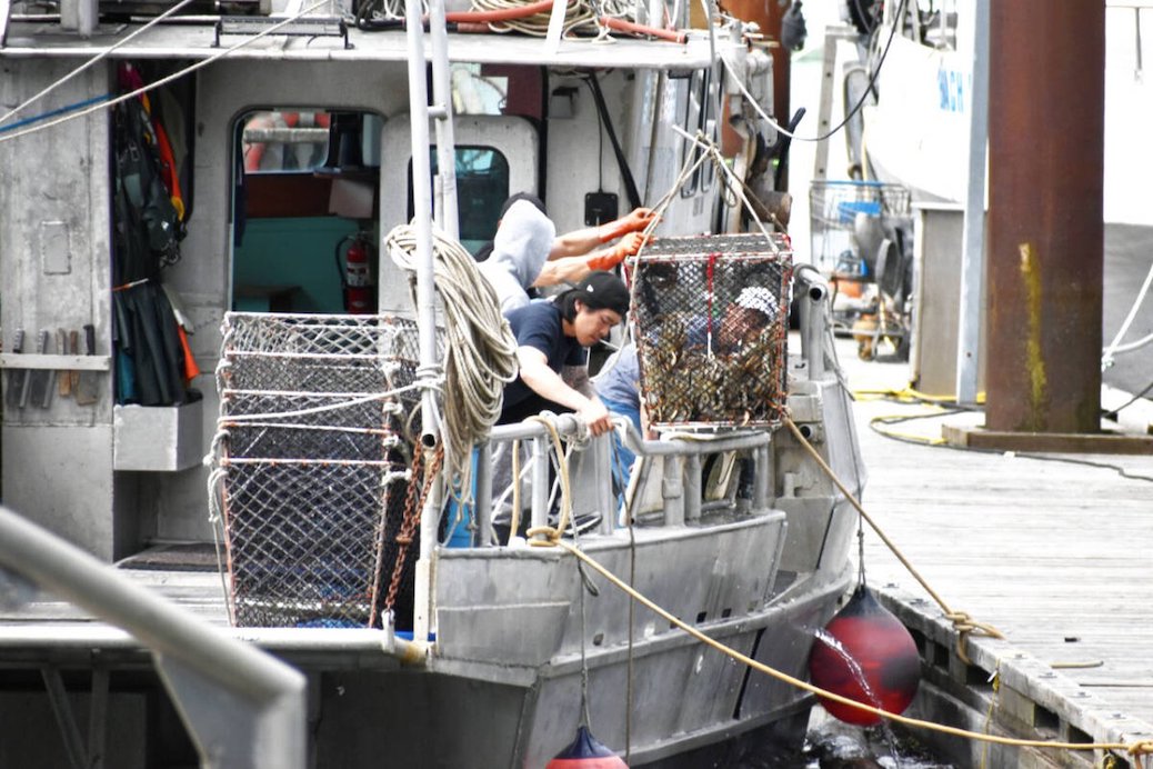DFO Plans More Fishery Closures Under Salmon Management Plan - Cortes ...