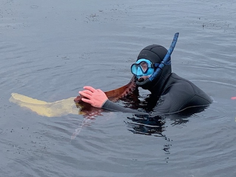 Campbell River’s ‘catch And Release’ Aquarium - Cortes Currents
