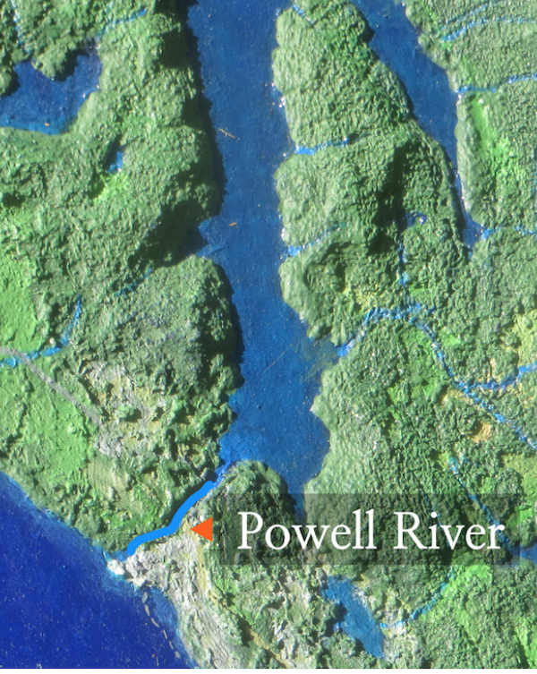 Where to find qathet’s Ghost Salmon | Cortes Currents