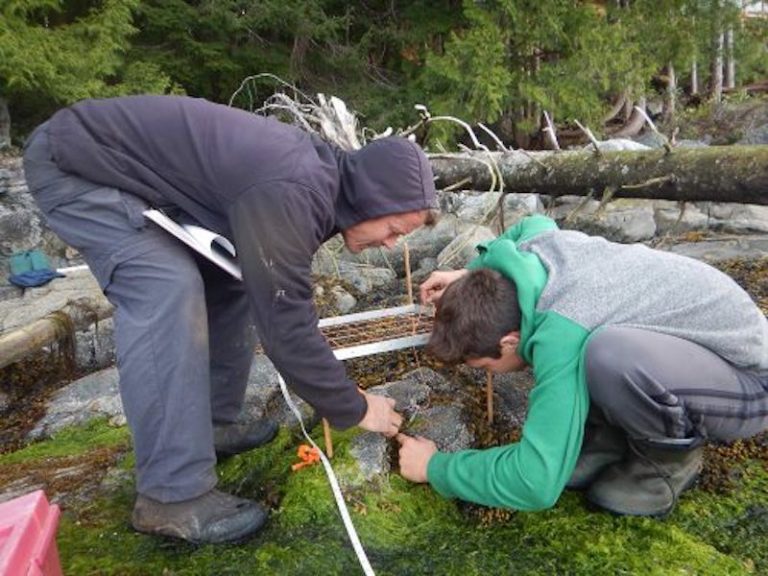 FOCI’s Marine Stewardship Initiative - Cortes Currents