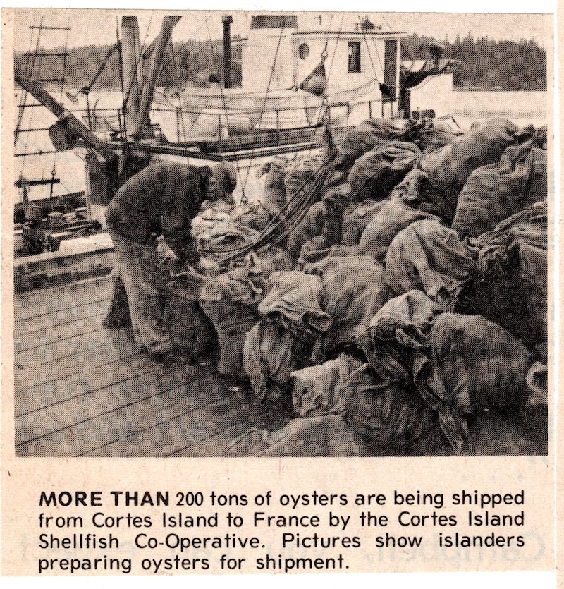 The origins of Cortes Island’s Shellfish Industry | Cortes Currents