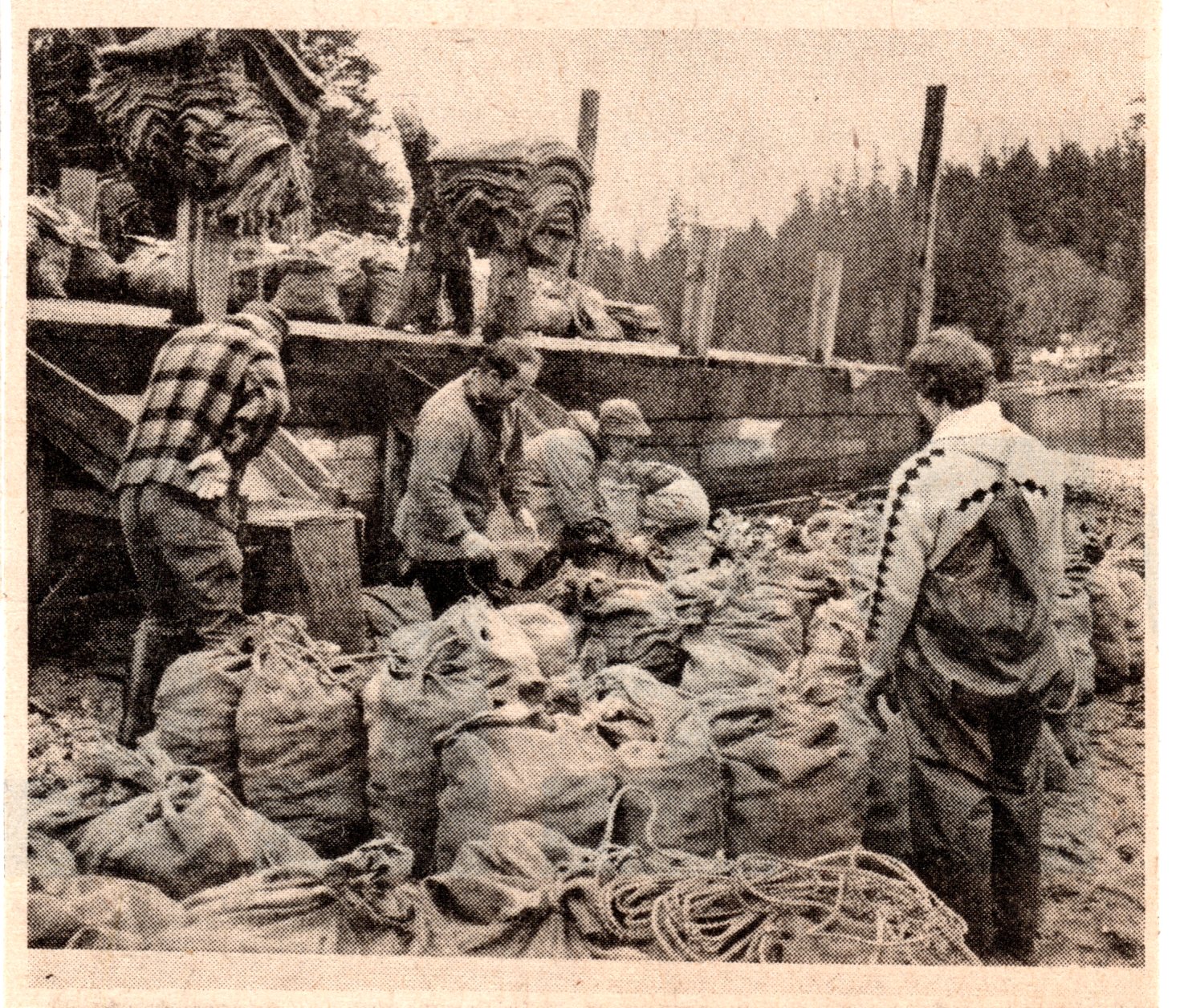 The origins of Cortes Island’s Shellfish Industry | Cortes Currents