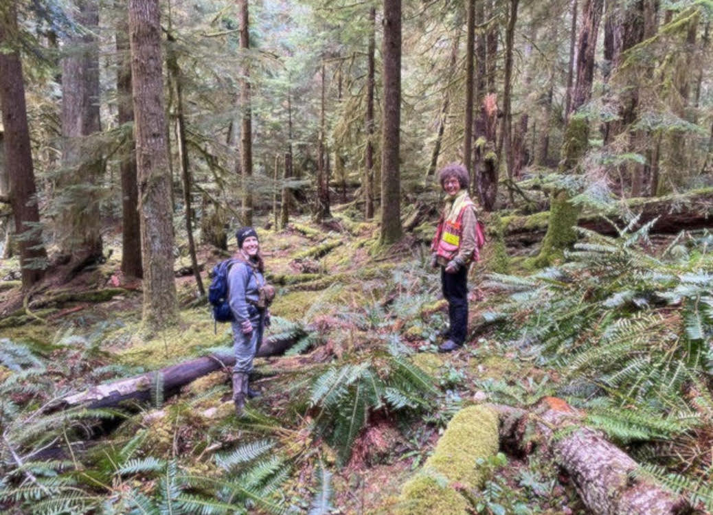Provincial Biologist Visits Cortes Island; Second Western Screech Owl ...