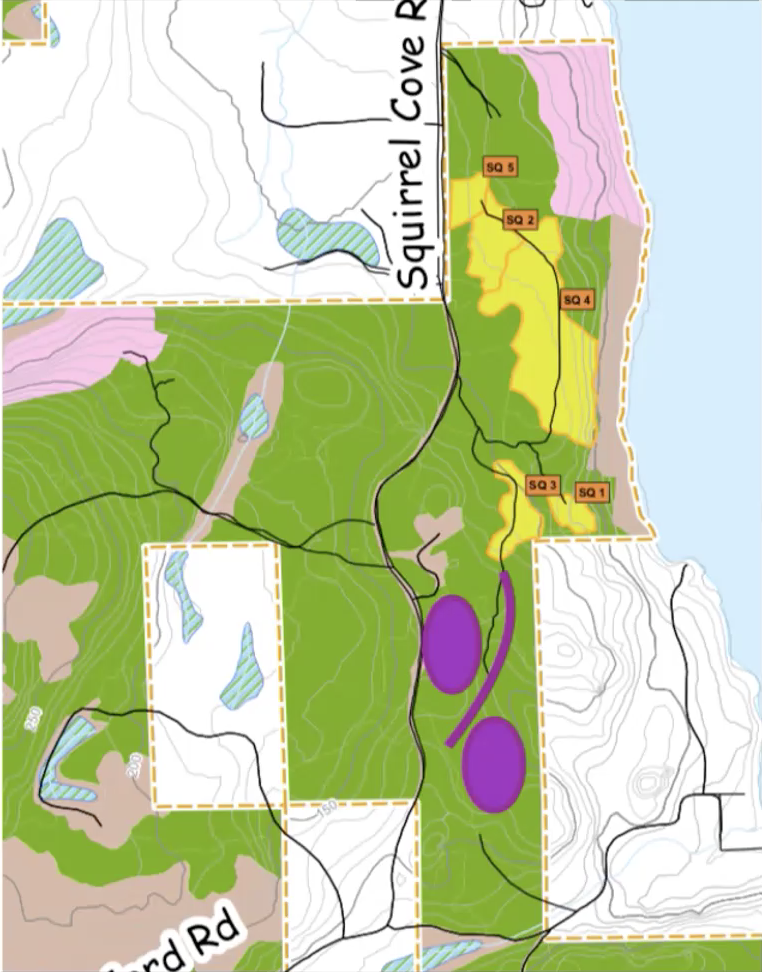 Mark Lombard: Community Forest 5-Year Plan - Cortes Currents