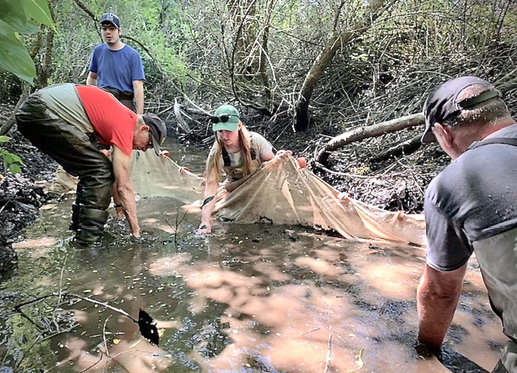 Salmon SWAT Teams Deployed In B.C To Help Fish During Drought - Cortes ...