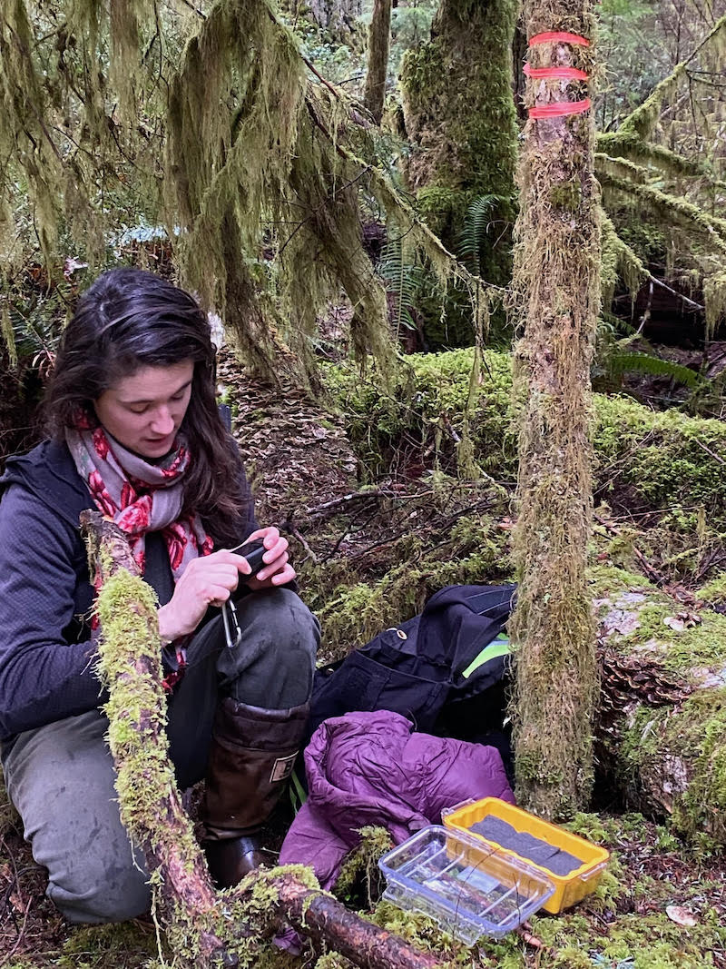 What FOCI Achieved in 2023 | Cortes Currents