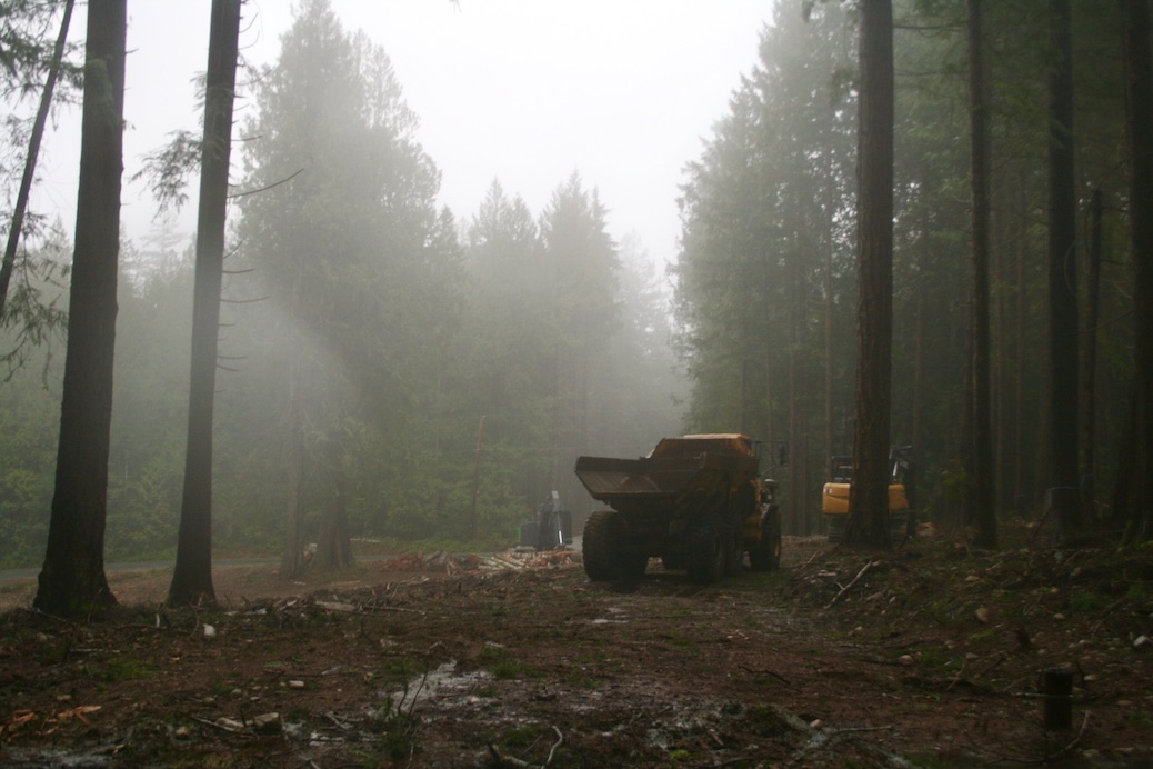 QXMC Squirrel Cove Project On Track For Late 2024 Opening - Cortes Currents