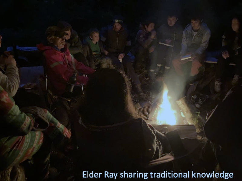 Origins of the Cortes Community Wolf Project | Cortes Currents