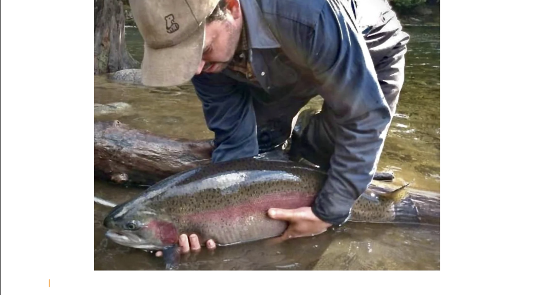 BC fish farm slapped with hefty fine for illegal operations | Cortes ...