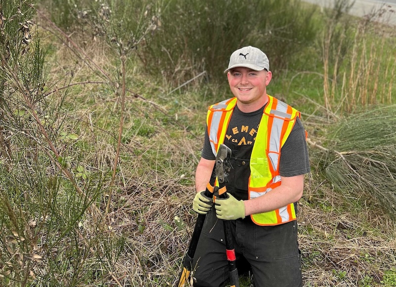 Scotch Broom Increases Wildfire Risk. What Can We Do About It? - Cortes ...