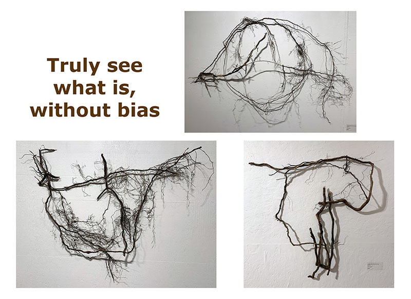 A Second Look at Cortes Island Root Drawings, by John Mottishaw at the ...