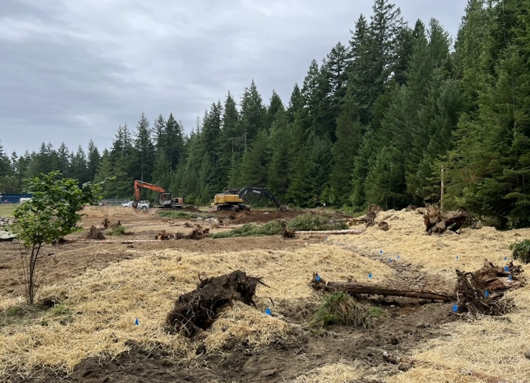 The Cortes Island School Wetland Project - Cortes Currents